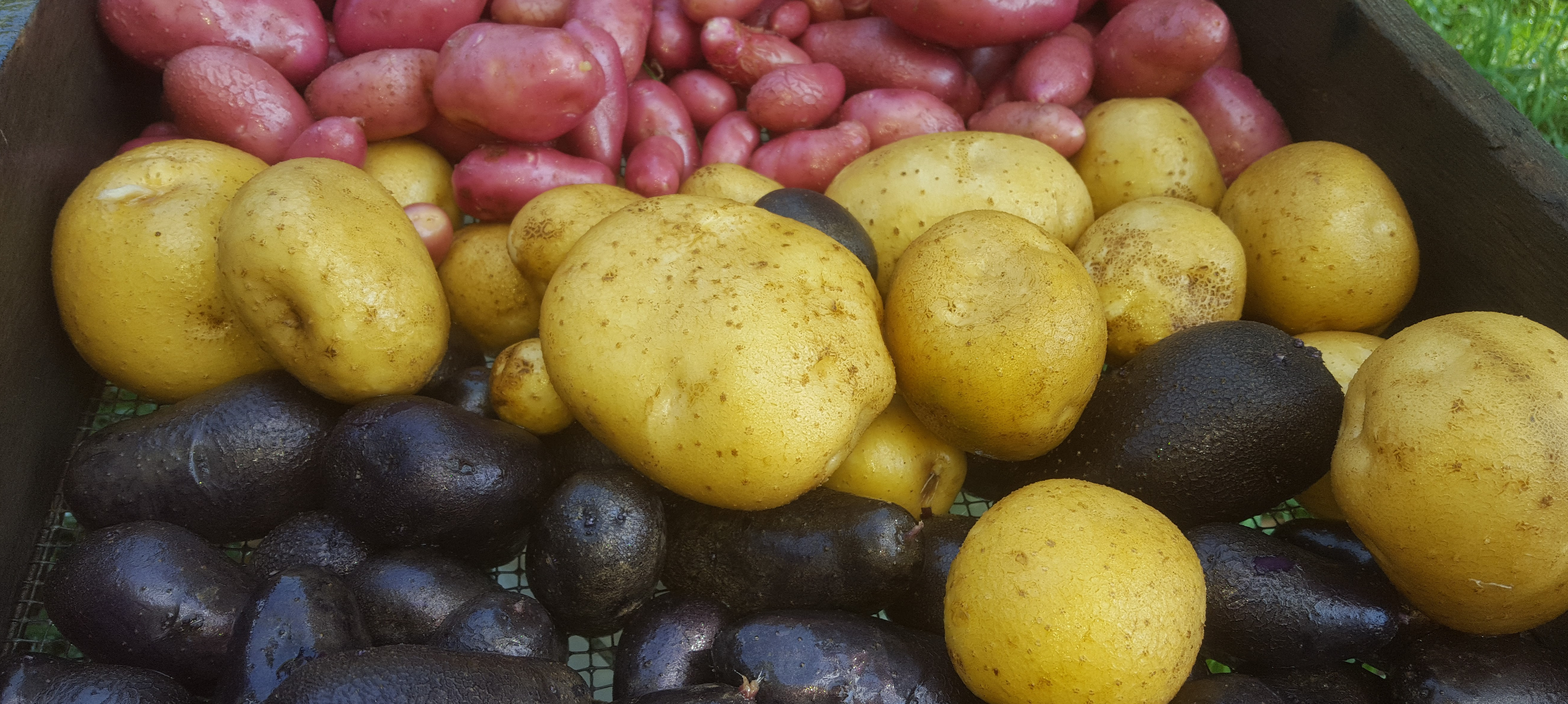 Where to Find Us – Little Bean Farm & Larder